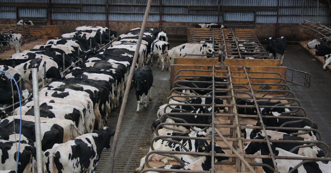 8752 I/S Torp Søgård